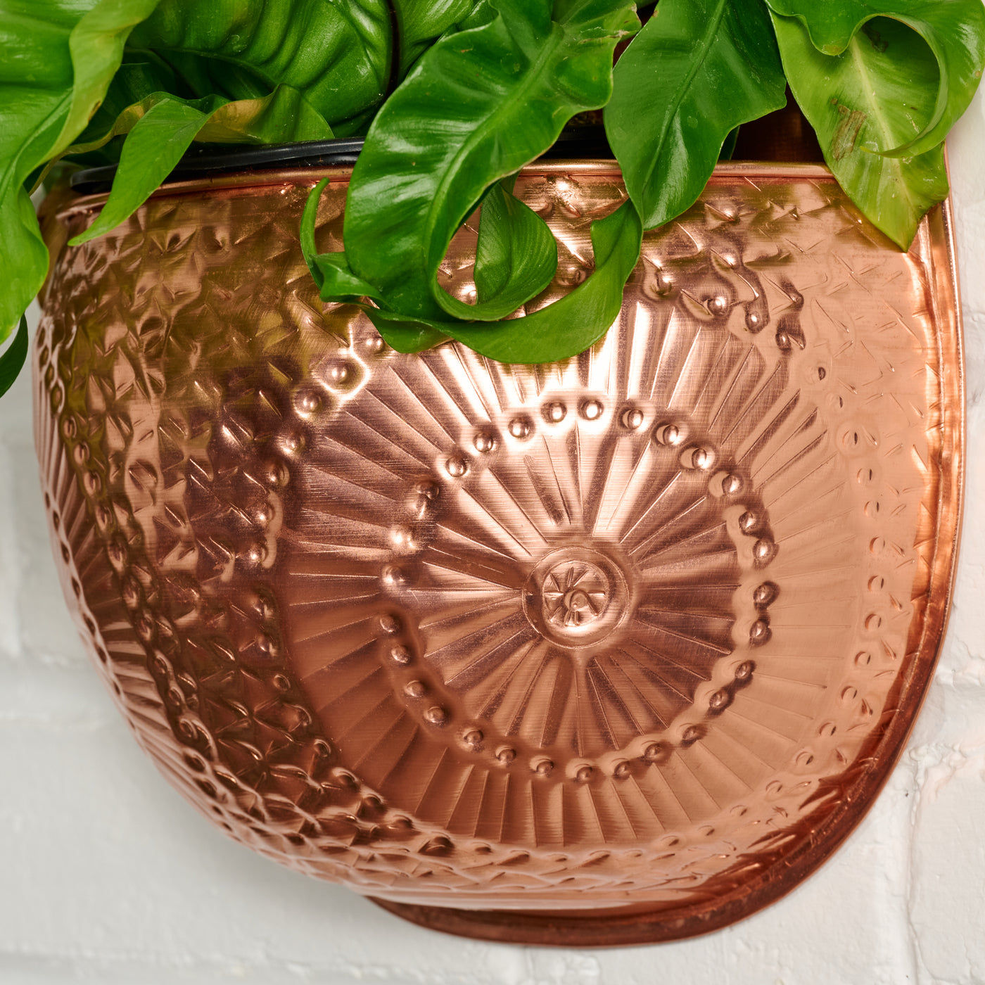 Dekhava Embossed Wall Planter | Ten Thousand Villages