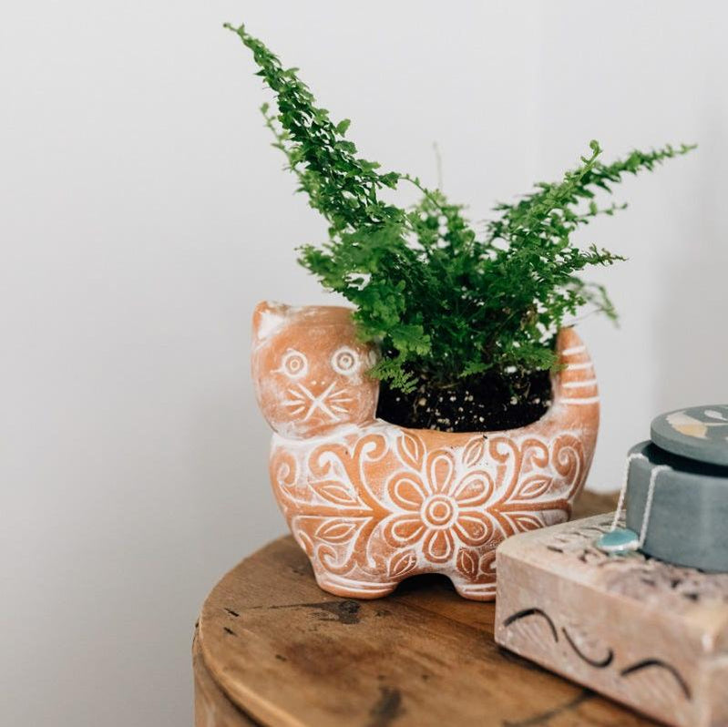 Garden Kitty Planter — Ten Thousand Villages